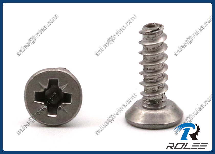 304/316 Stainless Steel Pozi Flat Undercut Head Tapping Screws for Plastics