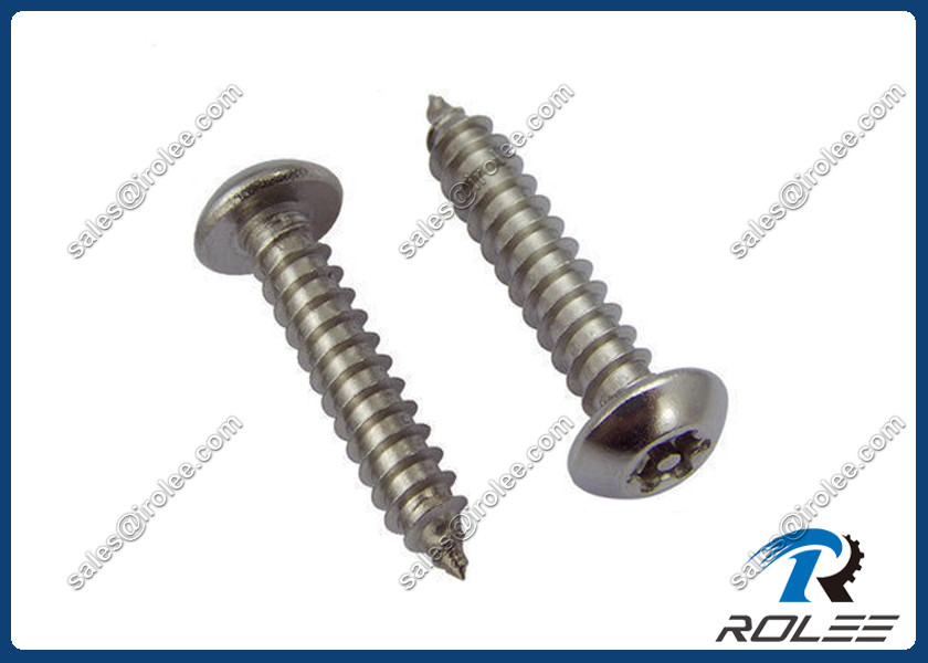 18-8/316 Stainless Pin Torx Button Head Self-Tapping Security Screw